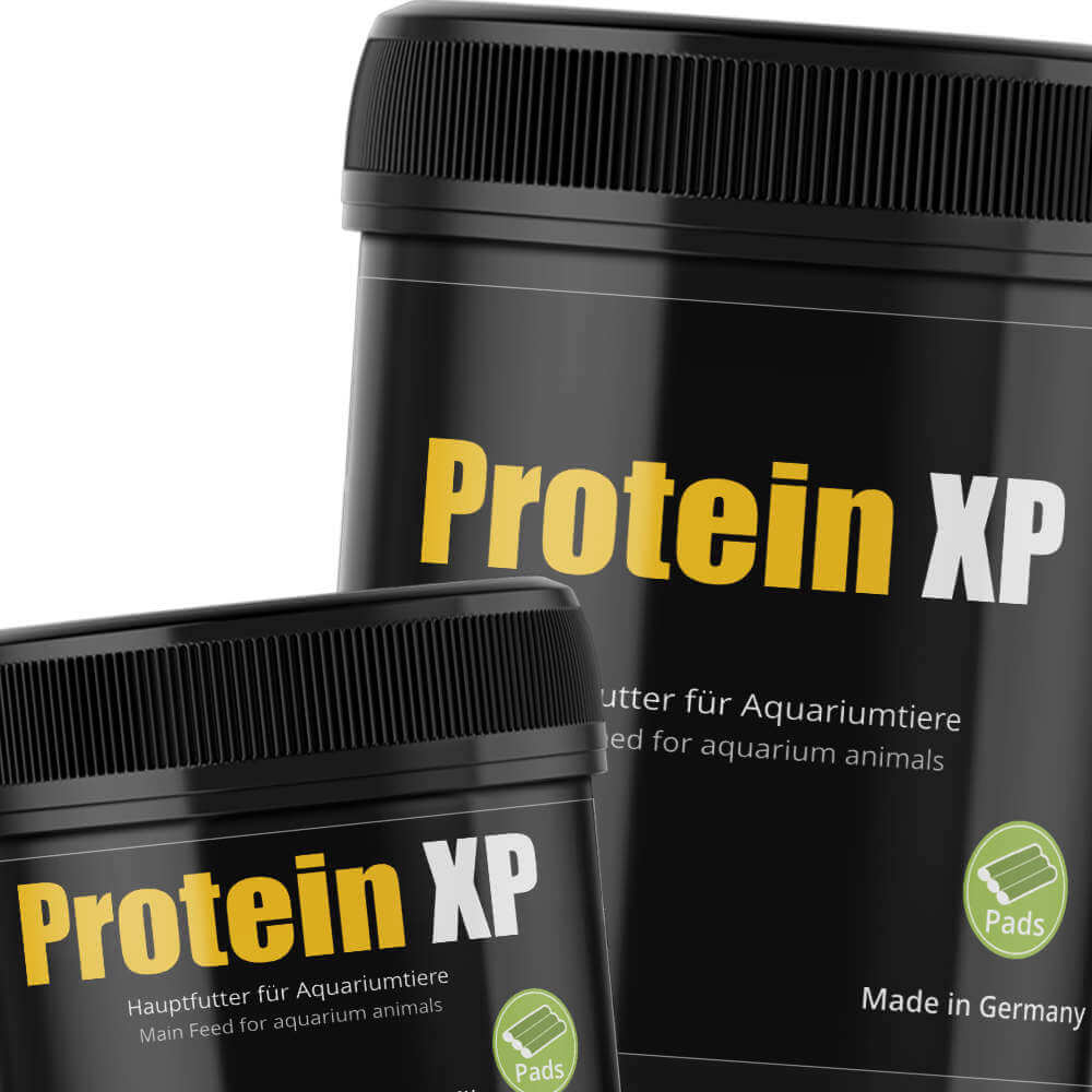 New release: Protein XP- brand new product | GlasGarten